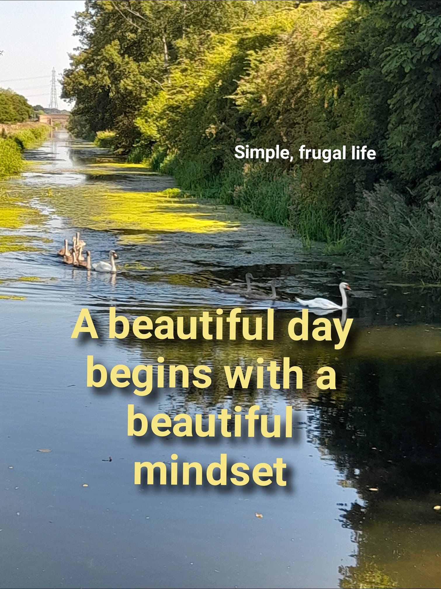 Don't forget to live, enjoy and appreciate each day now. - Simple ...