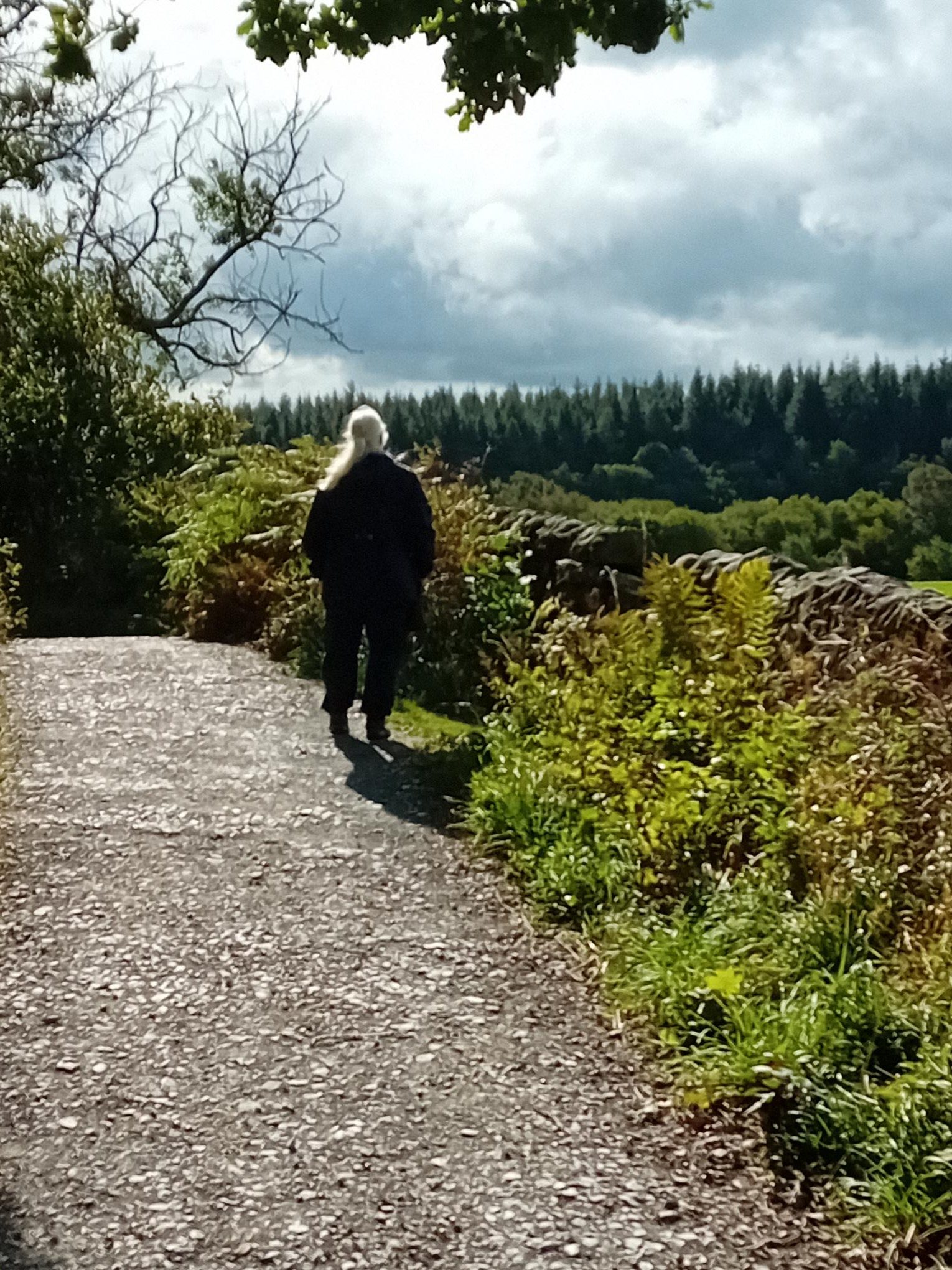 The benefits of walking in nature - Simple Frugal Life