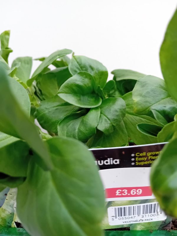 Simple Frugal Life - reduce consumerism and waste, be content